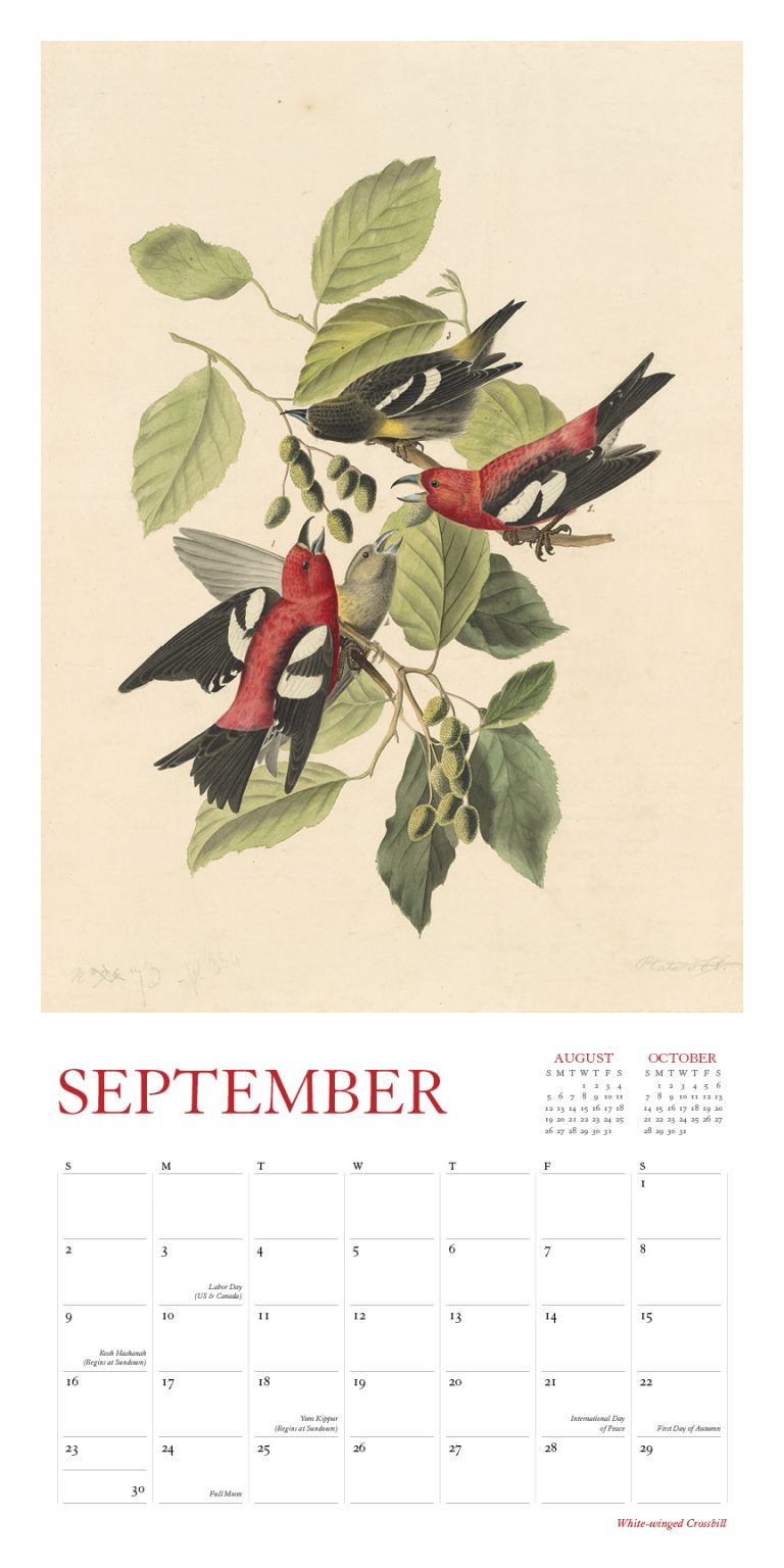 Rizzoli Calendars - Stislow Design